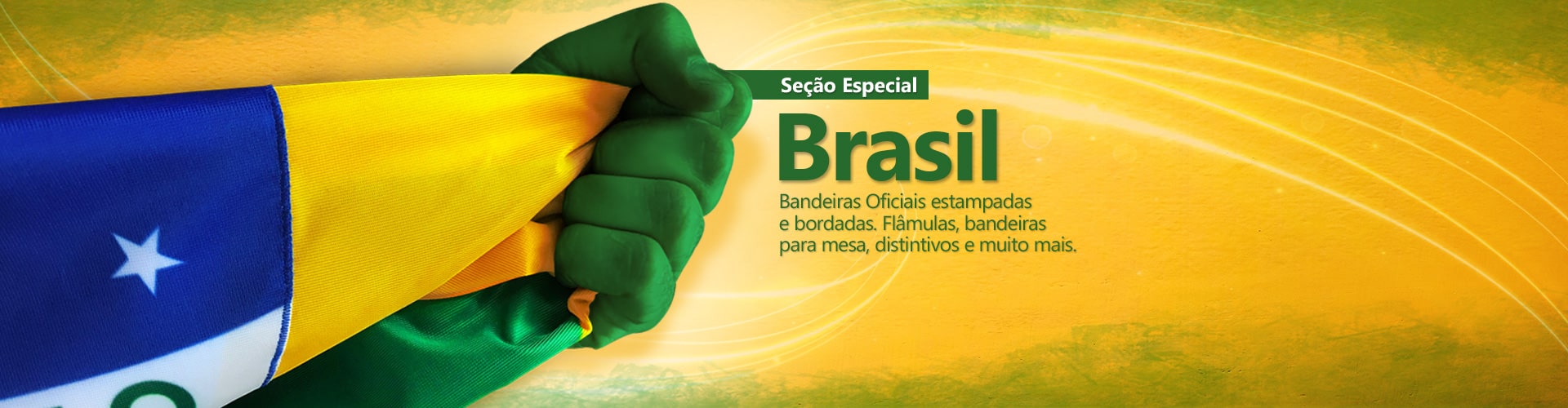 Bandeiras do Brasil