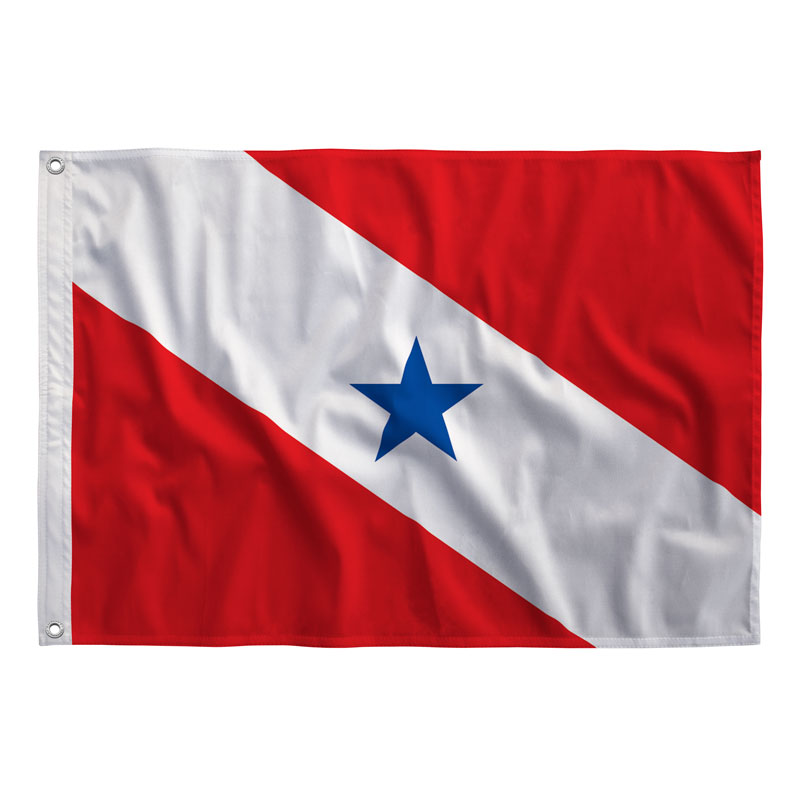 Bandeiras dos Estados Brasileiros | Bandeira1