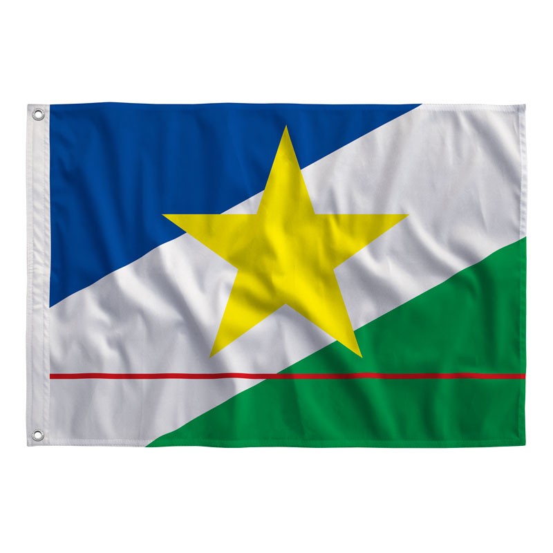 Bandeiras dos Estados Brasileiros | Bandeira1