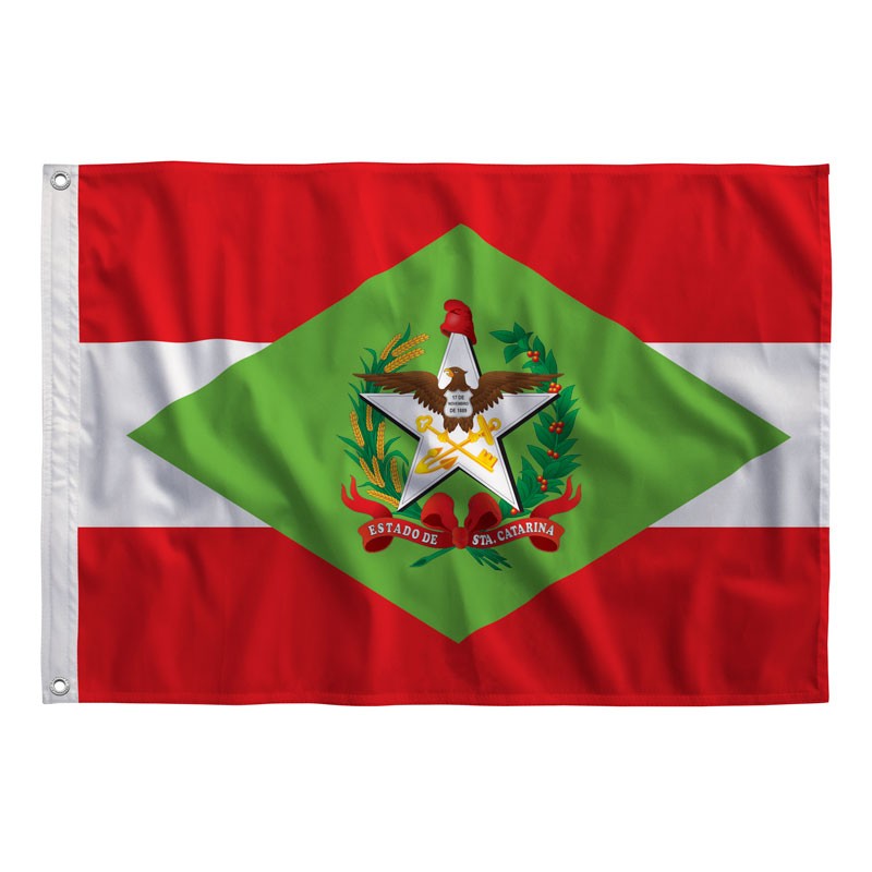Bandeiras dos Estados Brasileiros | Bandeira1